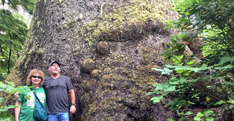 From Portland: Oregon Coast Day Trip to Three Capes Loop | GetYourGuide