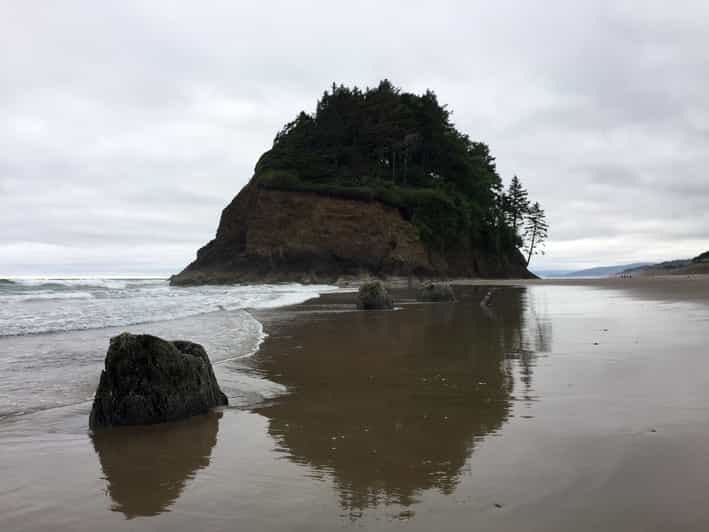 From Portland: Oregon Coast Day Trip to Three Capes Loop | GetYourGuide
