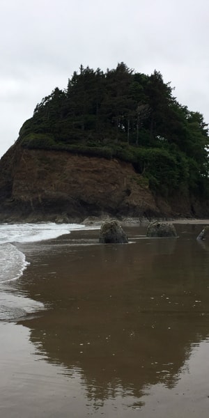 From Portland: Oregon Coast Day Trip to Three Capes Loop | GetYourGuide