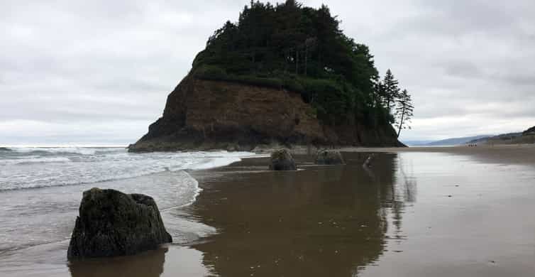 From Portland: Oregon Coast Day Trip to Three Capes Loop | GetYourGuide