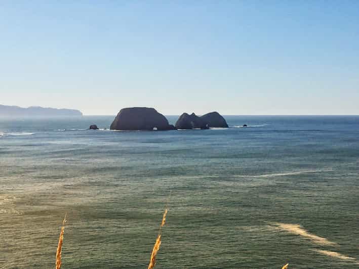 From Portland: Oregon Coast Day Trip to Three Capes Loop | GetYourGuide