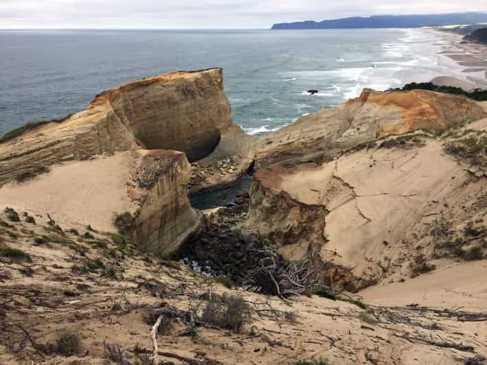 From Portland: Oregon Coast Day Trip to Three Capes Loop | GetYourGuide
