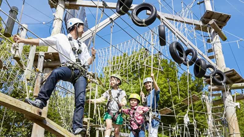 Idaho Springs: SkyTrek Aerial Challenge Course Ticket | GetYourGuide