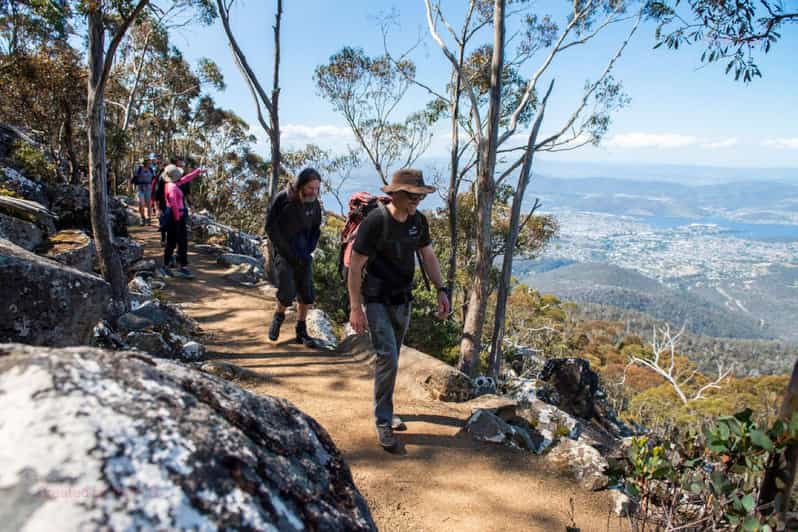 From Hobart: Mount Wellington Organ Pipes Trail Guided Hike | GetYourGuide