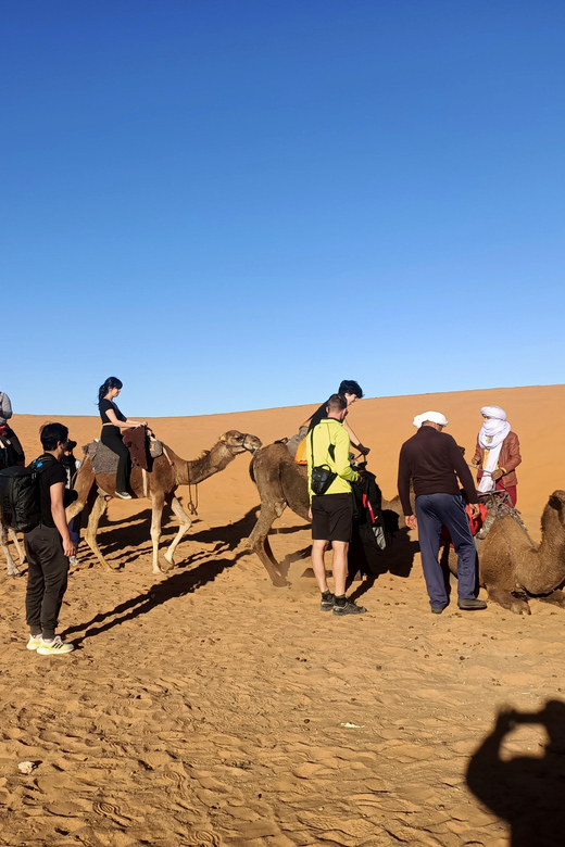 De Marraquexe Excursão de luxo de 4 dias ao deserto do Saara em ...