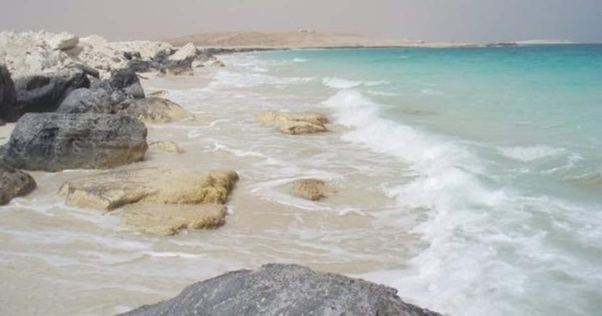 Cairo: EL-Alamein Guided WW2 History Day Trip with Lunch | GetYourGuide