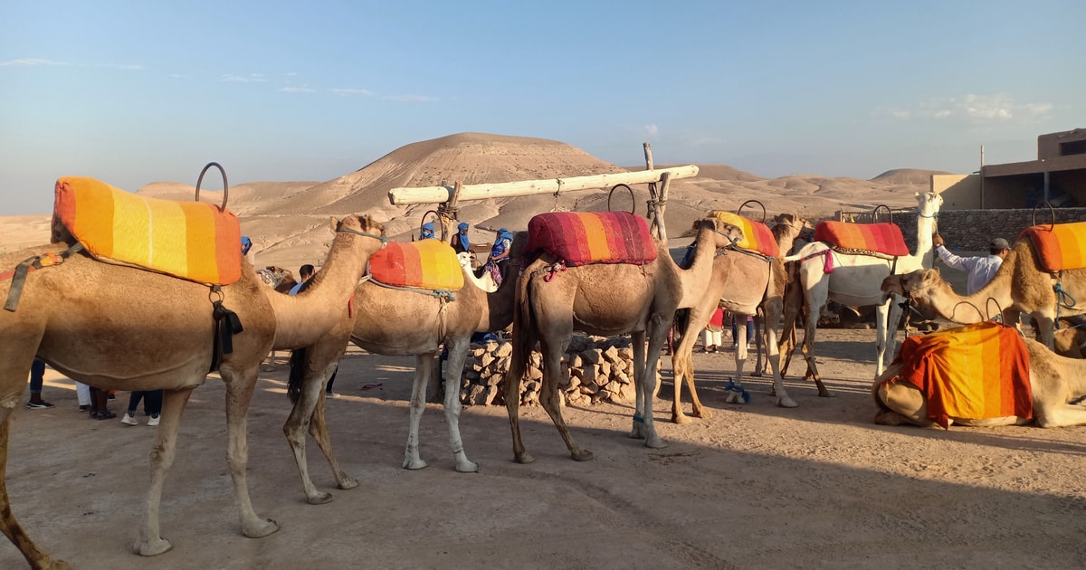 Agafay Desert Camel Ride with Lunch | GetYourGuide