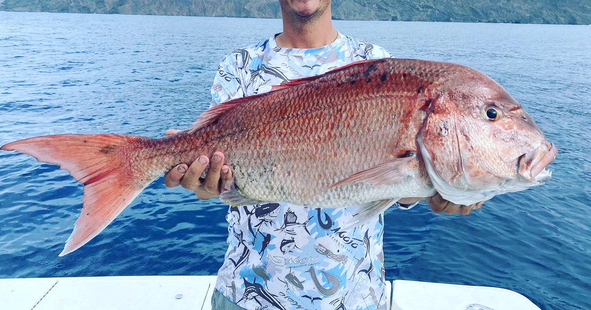 From Puerto Colón: Private Fishing Boat Charter with Lunch | GetYourGuide