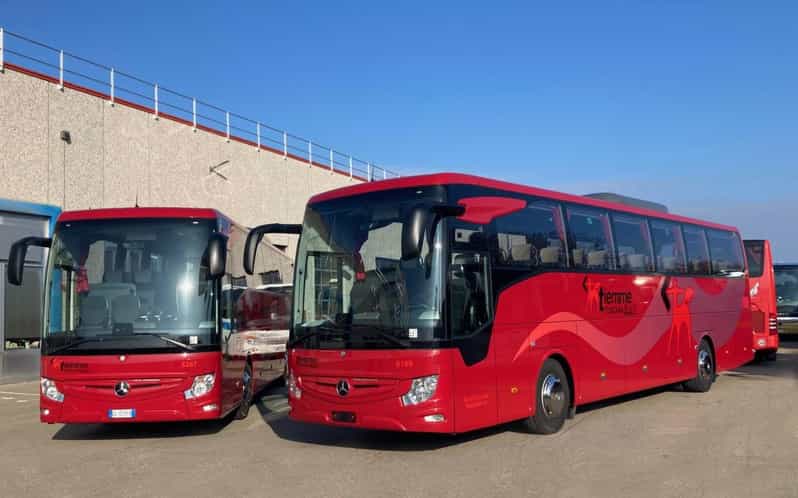 Rome Fiumicino Airport: Shuttle Bus to/from Grosseto | GetYourGuide
