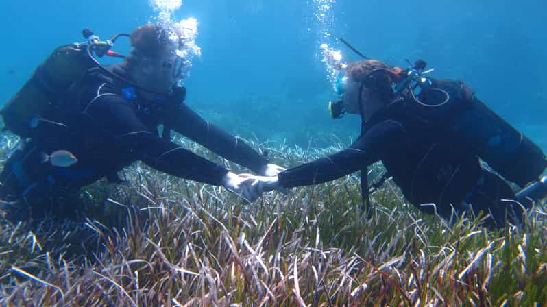 Kos: Scuba Diving Now!!! | GetYourGuide
