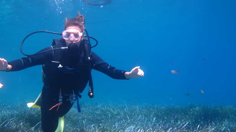 Kos: Scuba Diving Now!!! | GetYourGuide