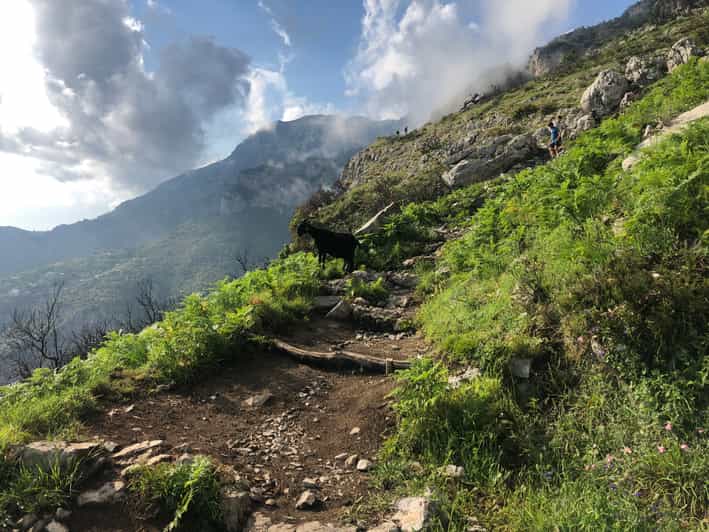 Amalfiküste: Bomerano nach Nocelle - Der Weg der Götter | GetYourGuide