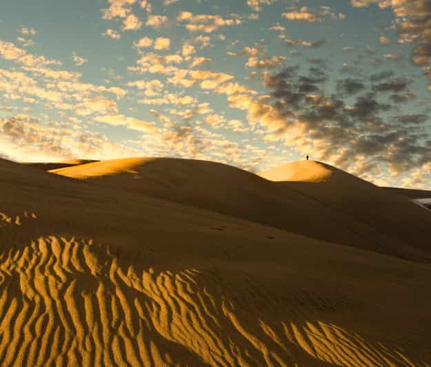 From Doha: Full-Day Desert Safari, Camel Ride & Dune Bashing | GetYourGuide