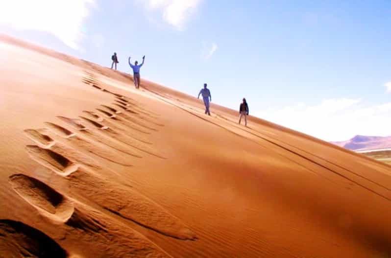 From Doha: Full-Day Desert Safari, Camel Ride & Dune Bashing | GetYourGuide