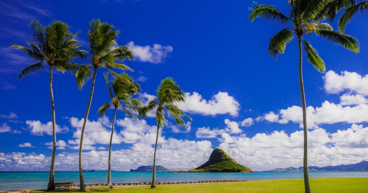 Verborgen parels van Oahu Circle Island Tour met Byodo-In Tempel ...