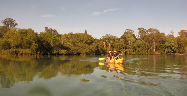 Brunswick Heads: Brunswick River Sunrise Nature Kayak Tour | GetYourGuide