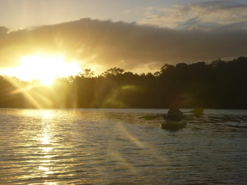 Brunswick Heads: Brunswick River Sunrise Nature Kayak Tour | GetYourGuide