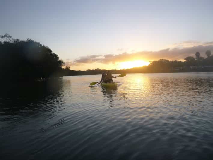 Brunswick Heads: Brunswick River Sunrise Nature Kayak Tour | GetYourGuide