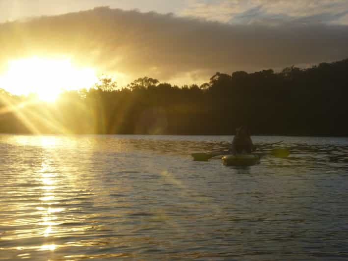 Brunswick Heads: Brunswick River Sunrise Nature Kayak Tour | GetYourGuide