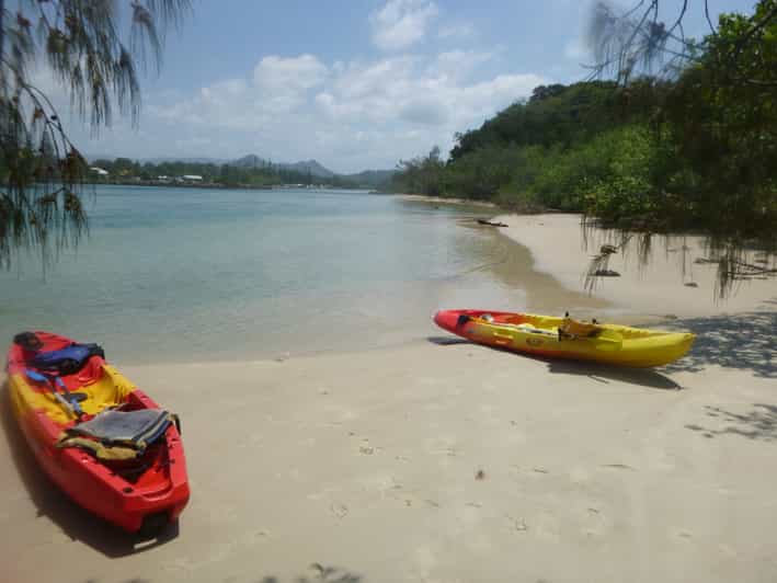 Brunswick Heads: Brunswick River Sunrise Nature Kayak Tour | GetYourGuide