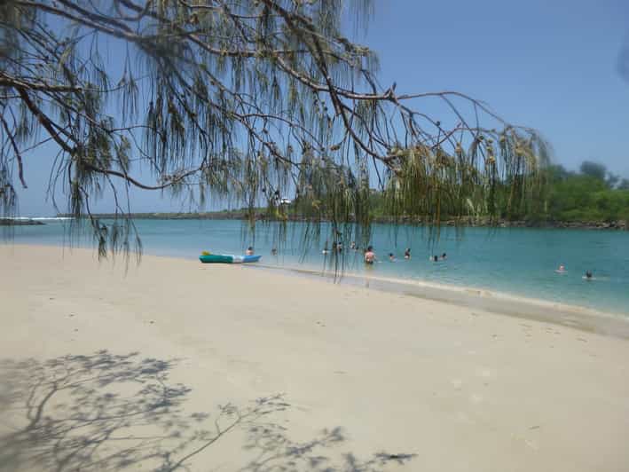 Brunswick Heads: Brunswick River Sunrise Nature Kayak Tour | GetYourGuide