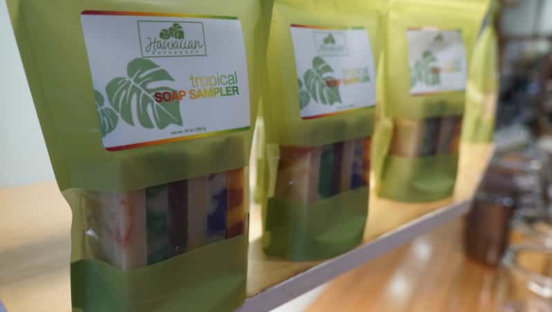 Oahu Island: The North Shore Dole Pineapple Farm Tour | GetYourGuide