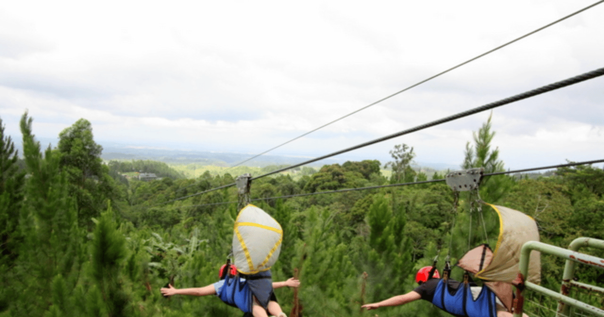 Dahilayan & Impasugong (Private Tour) | GetYourGuide