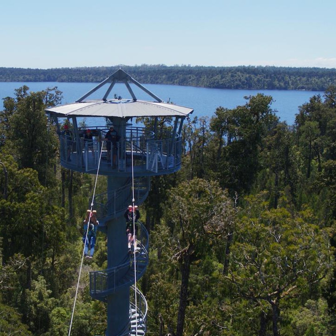Hokitika: West Coast Tree Top Tower Zip Line and Walk | GetYourGuide