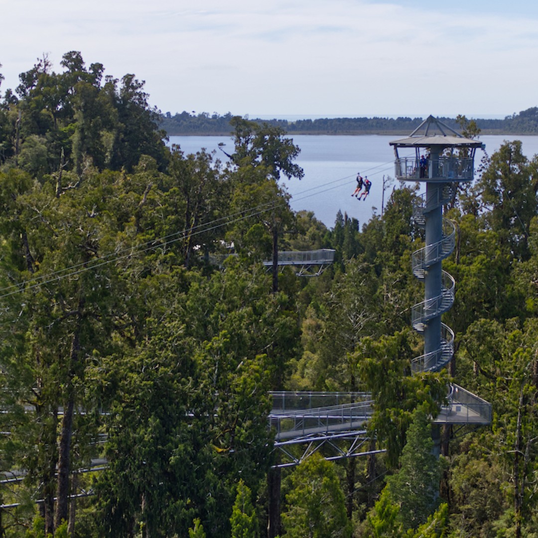 Hokitika: West Coast Tree Top Tower Zip Line and Walk | GetYourGuide