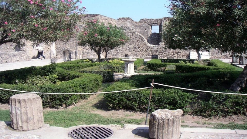 From Sorrento: Pompeii and Mount Vesuvius Tour | GetYourGuide