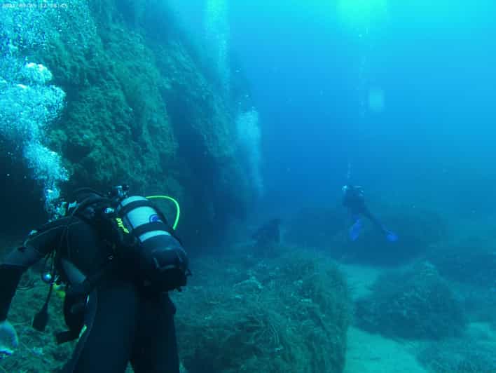 Agropoli: Grotta degli Spirografi Cave Dive | GetYourGuide