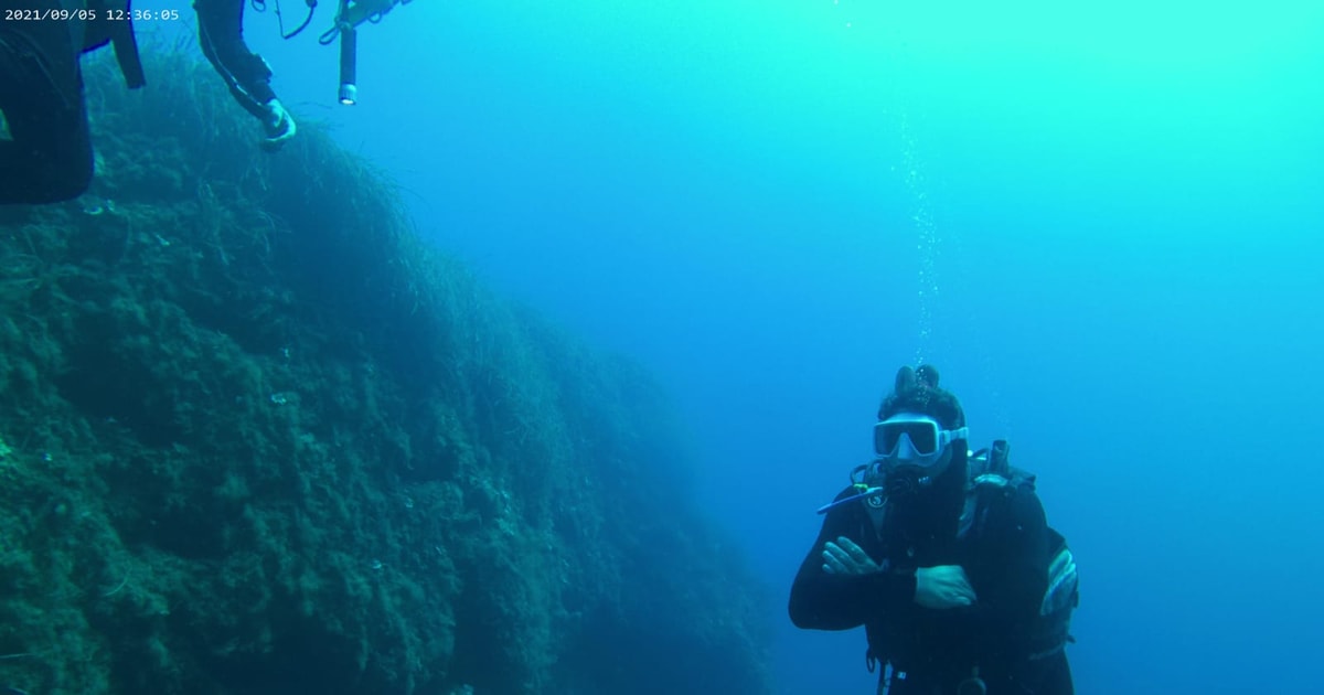 Agropoli: Grotta degli Spirografi Cave Dive | GetYourGuide