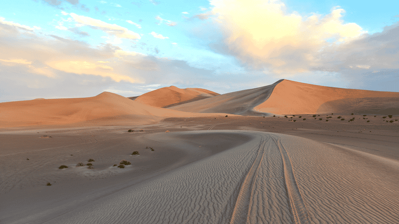 From Doha: Full-Day Desert Safari, Camel Ride & Dune Bashing | GetYourGuide