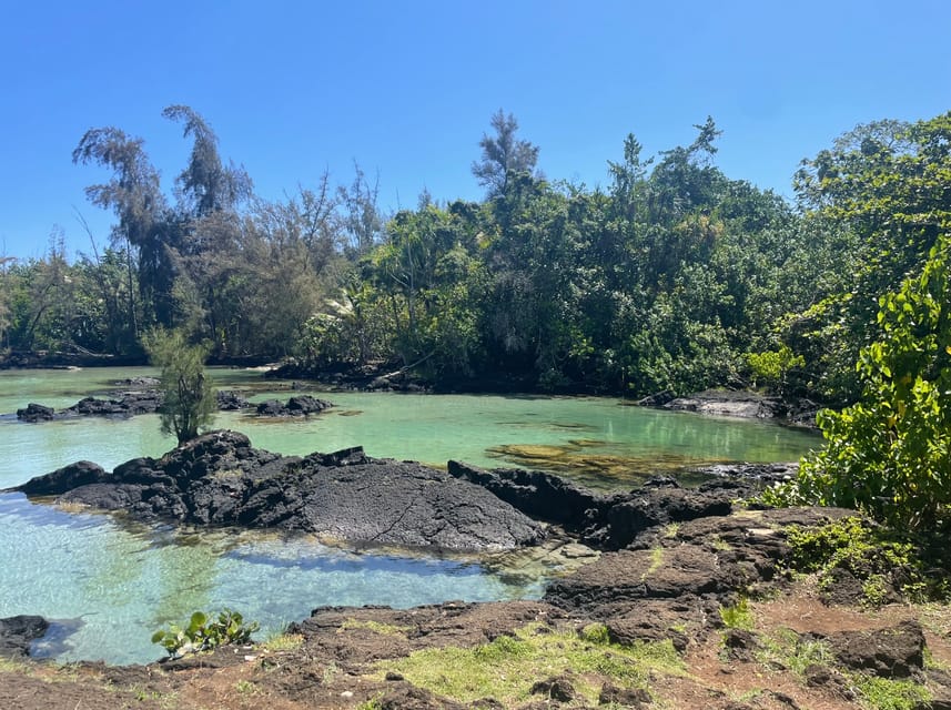 Hilo: Sea Turtle Lagoon and Black Sand Beach Snorkel | GetYourGuide