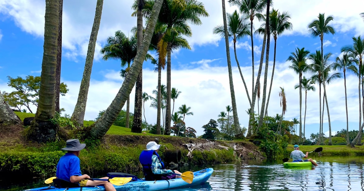 Hilo: tour guiado en kayak por el río Wailoa hasta el rey Kamehameha ...