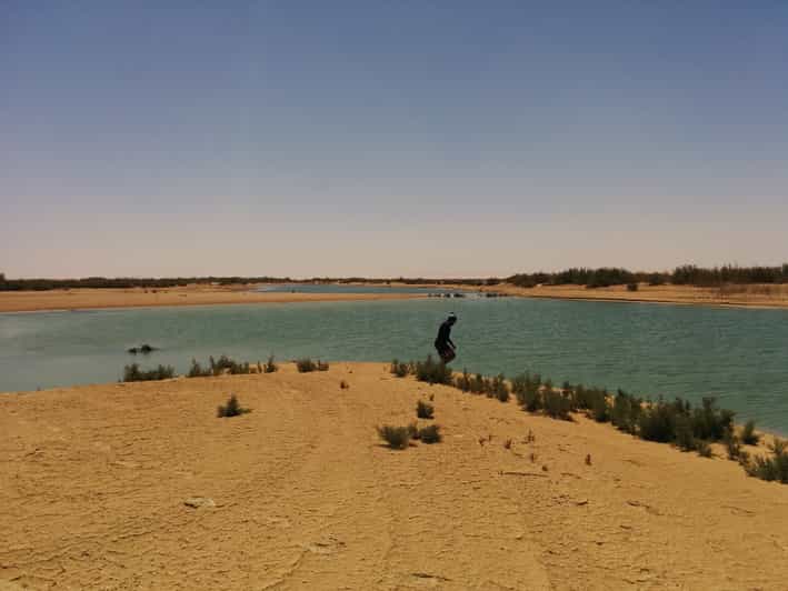 Cairo: Wadi El Ryan, El Fayoum Oasis & Bird Watching Tour | GetYourGuide