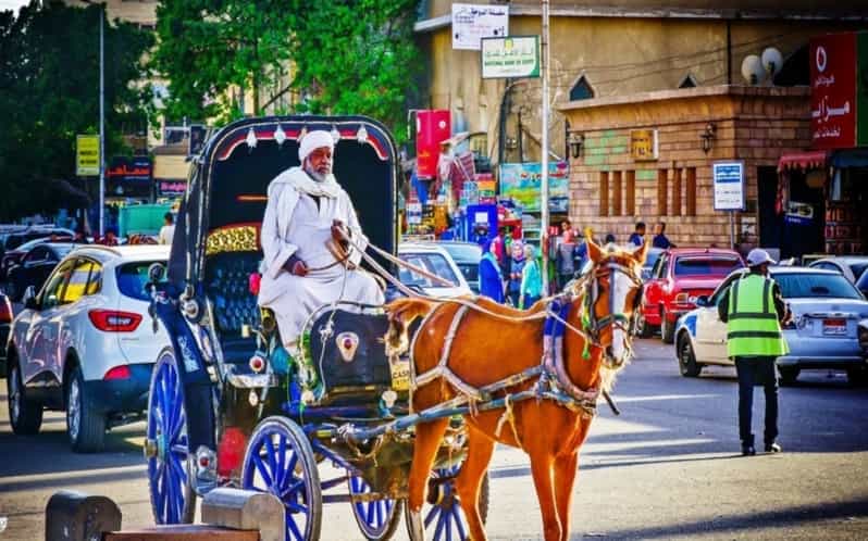 Luxor : Luxor City Tour By Horse Carriage | GetYourGuide