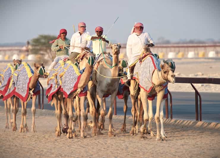Doha: Day Trip to Sheikh Faisal Museum and Camel Race Track | GetYourGuide