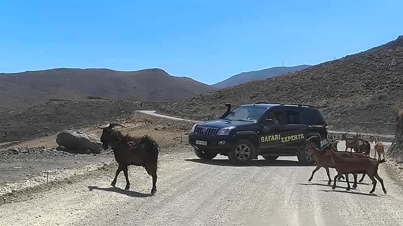 Crete: Trypiti Beach Off-Road South Tour w/ Lunch & Wine | GetYourGuide