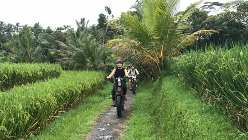 Ubud: Rice Terraces & Villages Half-Day Fat Tire E-Bike Tour | GetYourGuide