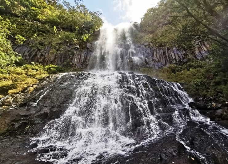 Mauritius: Waterfall & Nature South West Day Tour | GetYourGuide