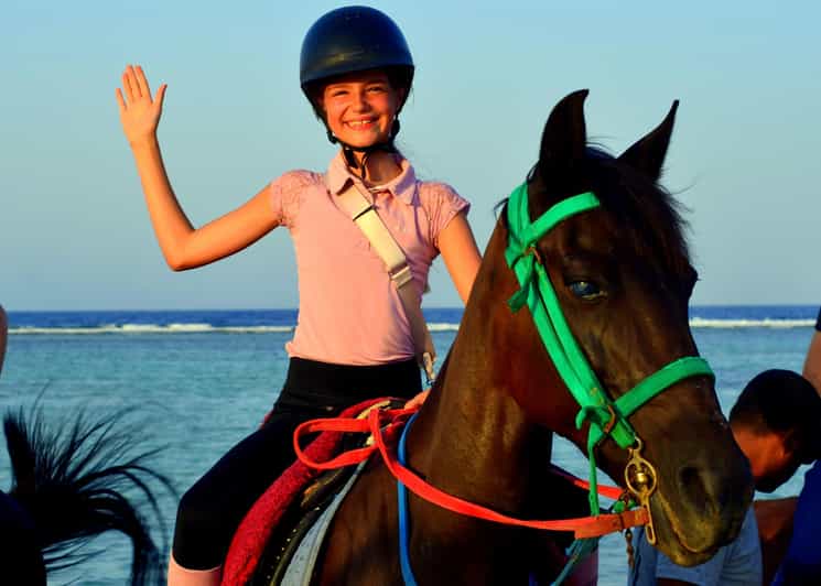 The BEST Red Sea Horse riding 2024 - FREE Cancellation | GetYourGuide