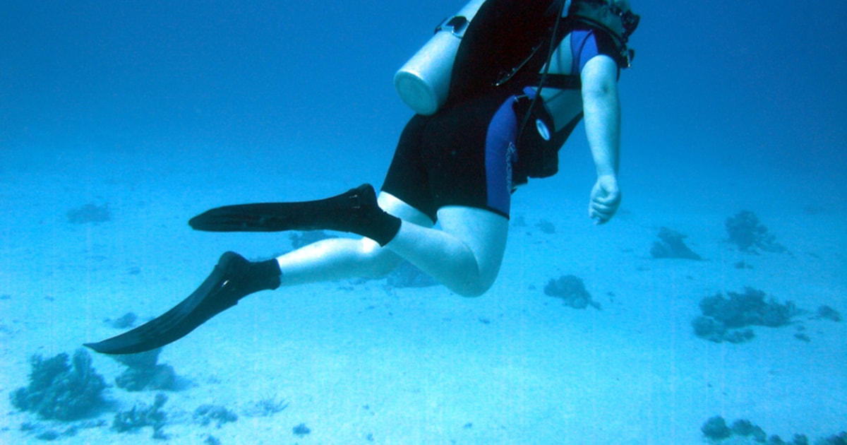 Sharm El-Sheikh: Guidet dykning fra land ved 2 dyk | GetYourGuide