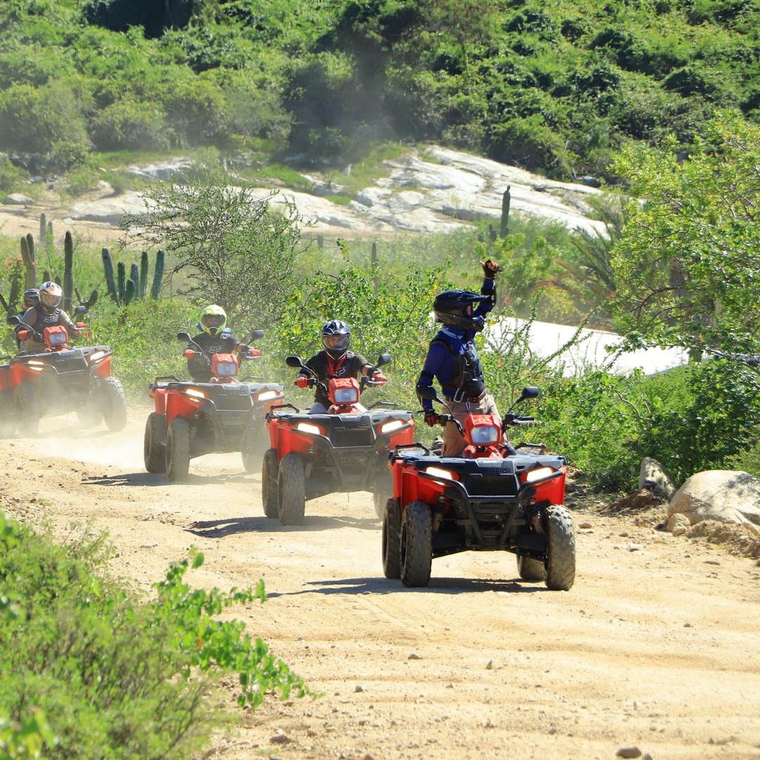 Cabo: ATV, Camel Ride, Mexican Lunch, and Tequila Combo Tour | GetYourGuide