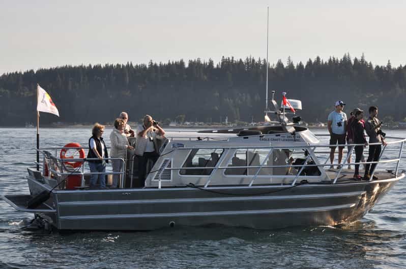 Campbell River: Whale Watching and Wildlife Viewing Day Tour | GetYourGuide
