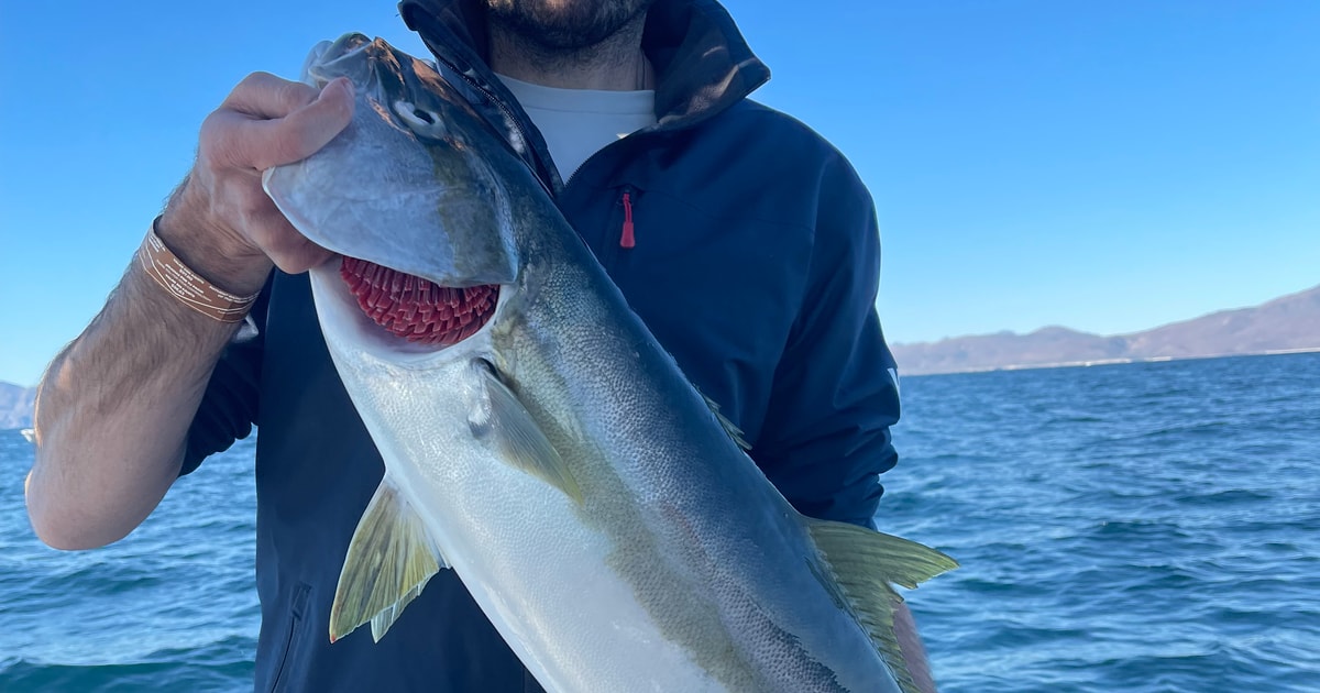 Loreto: Private Deep-Sea Fishing Trip with Gear and Lunch | GetYourGuide