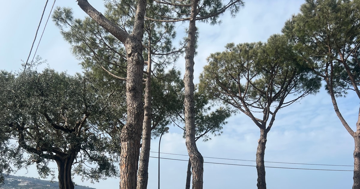 Sorrento: Senderismo de las Colinas al Mar | GetYourGuide