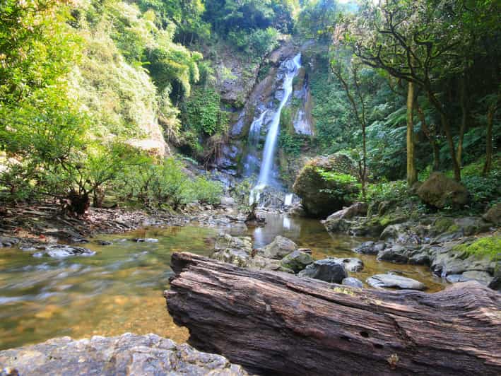 Khao Lak : Promenade en canoë sur la Petite Amazonie et visite de la ...
