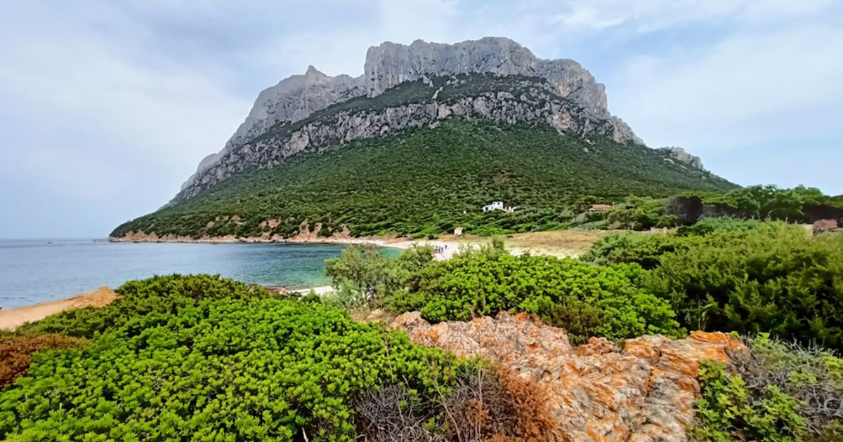 Da San Teodoro: Mini tour in gommone dell'arcipelago di Tavolara | GetYourGuide