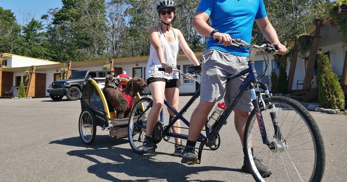 Tandem bike rental - Ile d'Orléans, Quebec City | GetYourGuide